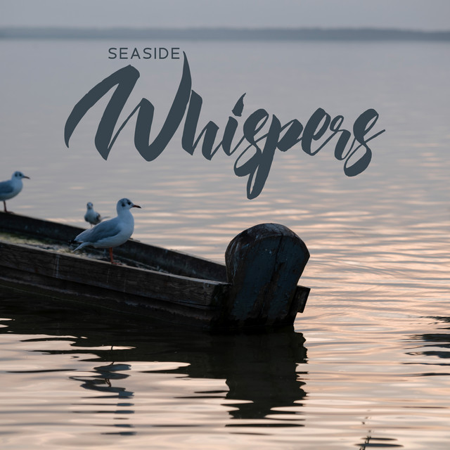 Seaside Whispers: Calming Sea with Seagulls, Some Zen Music, Rolling ...