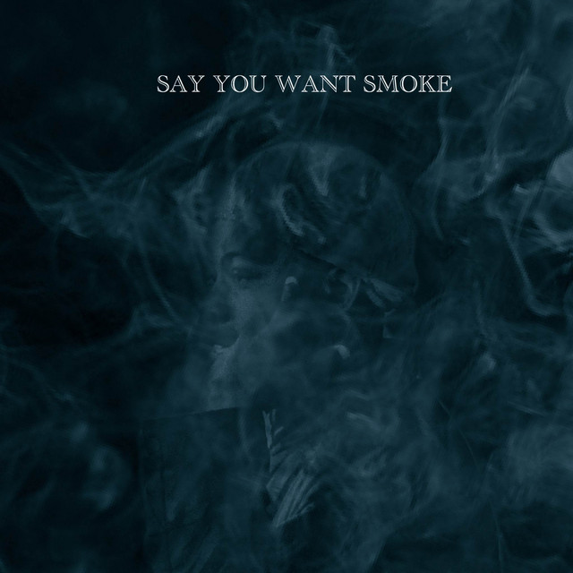 Say You Want Smoke - Single by YvngRambo | Spotify