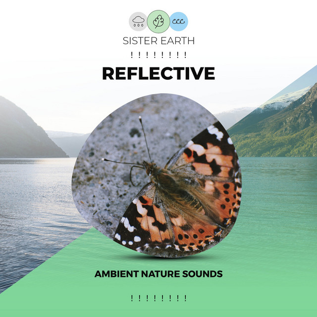 Reflective Ambient Nature Sounds ! ! ! ! ! ! ! ! - Album by Echoes Of Natu