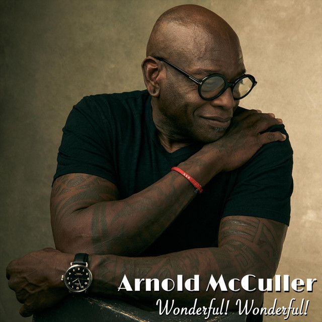Wonderful! Wonderful! – música e letra de Arnold McCuller | Spotify