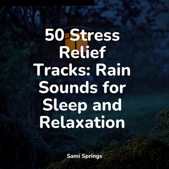 50 Stress Relief Tracks: Rain Sounds for Sleep and Relaxation - Album ...