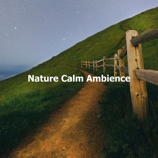 Wind in the Rainforest - song and lyrics by Nature Field Recordings ...