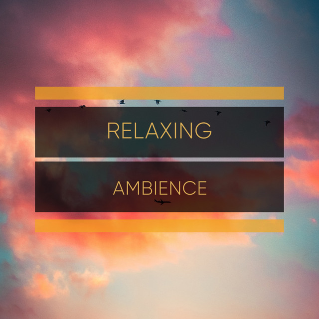 # 1 Album: Relaxing Ambience - Compilation by Various Artists | Spotify