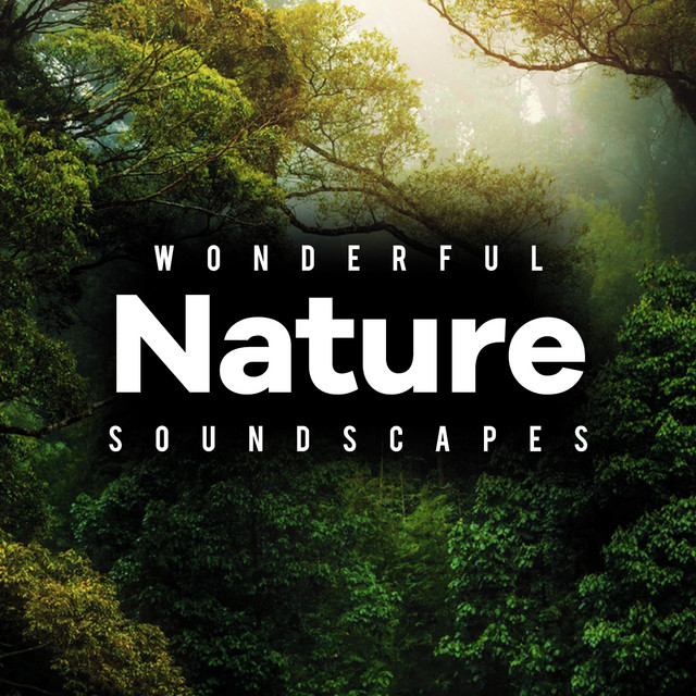 Wonderful Nature Soundscapes ! ! ! - Album by Sleep Sounds Of Nature ...
