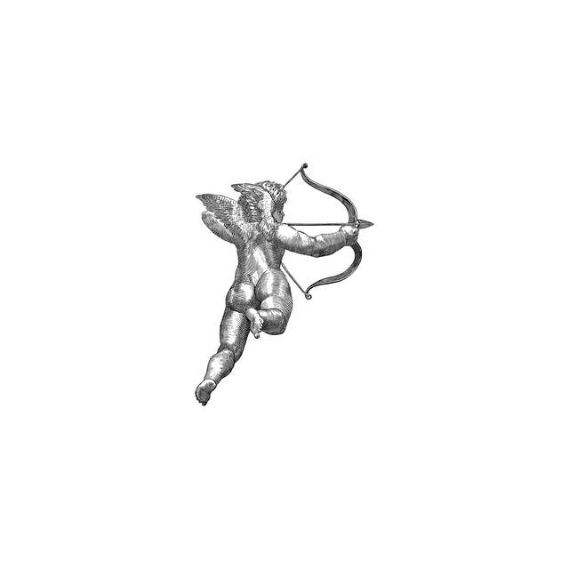 Fall - Single by Carter Cook | Spotify