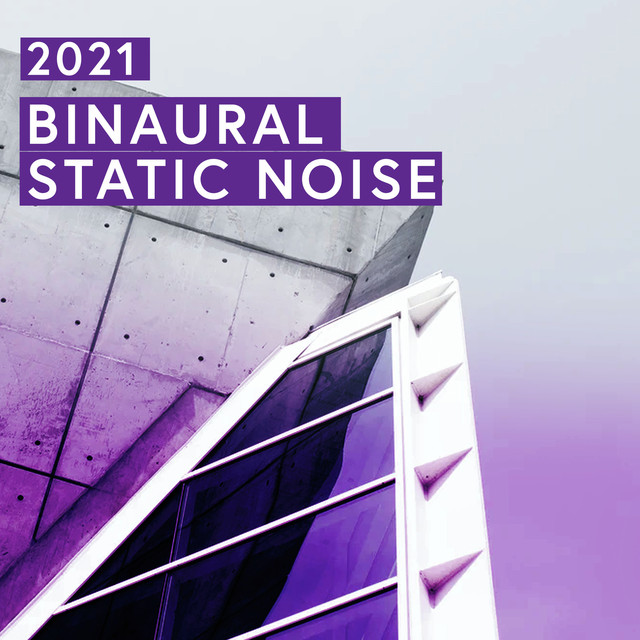 2021 Binaural Static Noise - Album by Static Therapy Research | Spotify