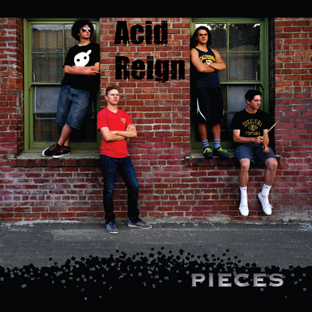 Pieces - Album by Acid Reign | Spotify