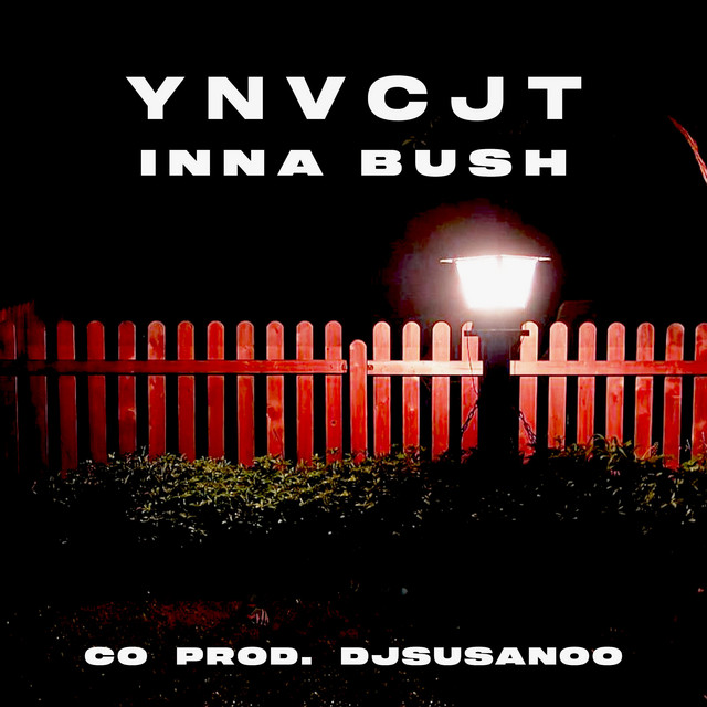 Inna Bush - Single by YNVC JT | Spotify