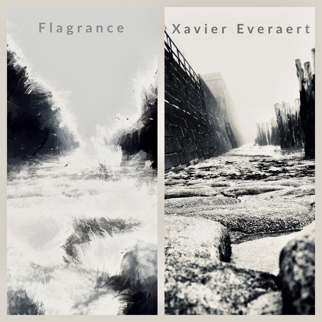 Flagrance - Single by Xavier Everaert | Spotify