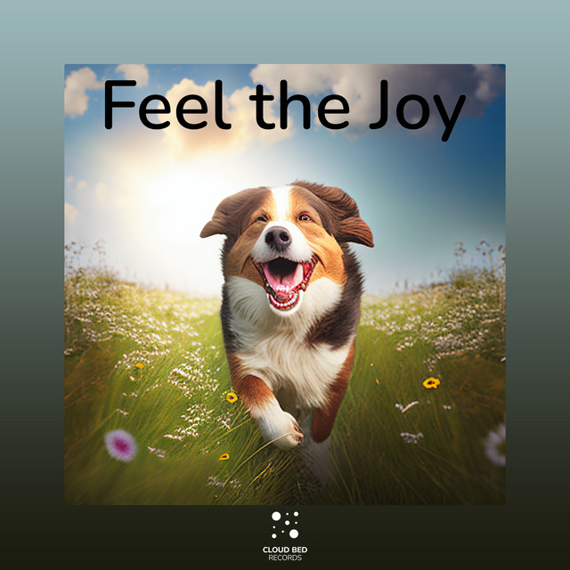 Long road to home - EP by Feel the Joy | Spotify