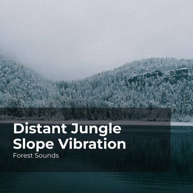 Virgin Lush Jungle - song by Forest Sounds, Ambient Forest, Rainforest ...
