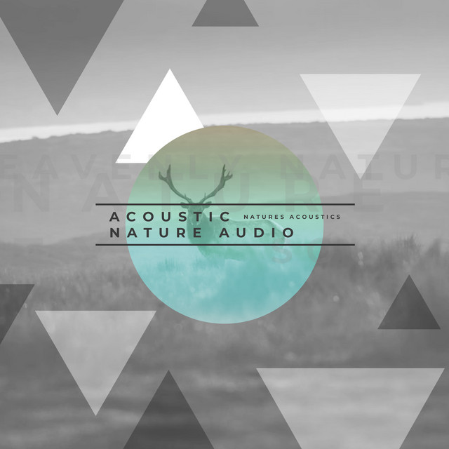 Drenched Tweets - song and lyrics by Natures Acoustics | Spotify