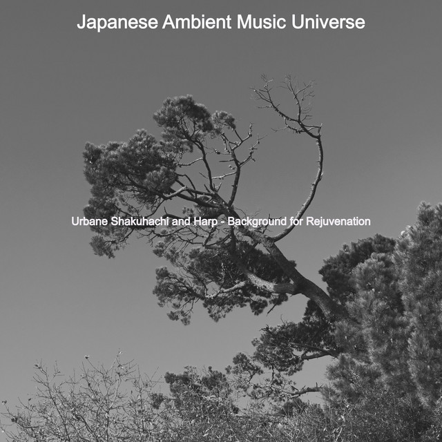 Japanese Ambient Music Universe | Spotify