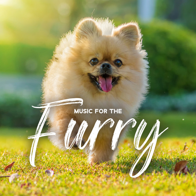 Music For The Furry: Jazz Music Set For The Pooch - Album by Stockholm ...