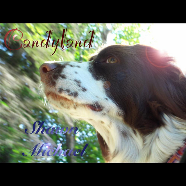 Candyland - Album by Shawn Michael | Spotify