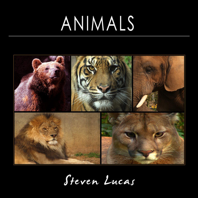 Animals - Single by Steven Lucas | Spotify