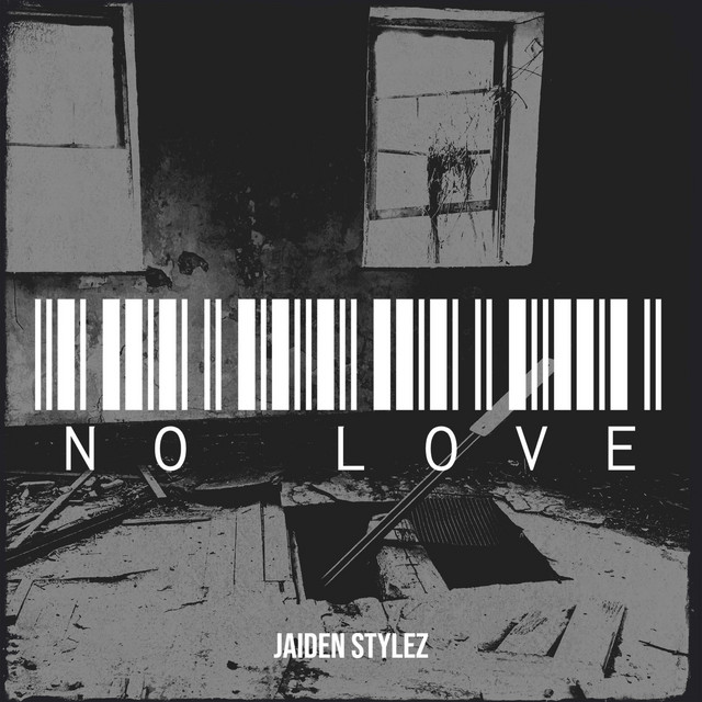 No Love - Single by Jaiden Stylez | Spotify