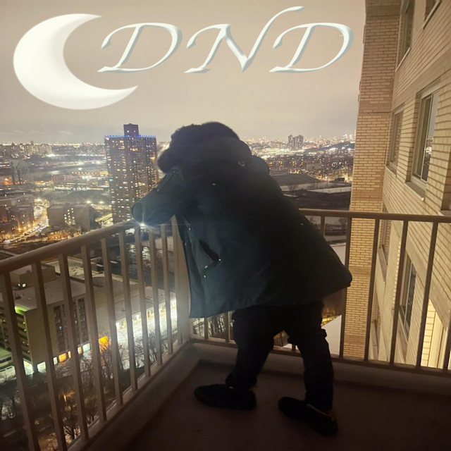 Do Not Disturb - Album by DNDMeechiiB | Spotify