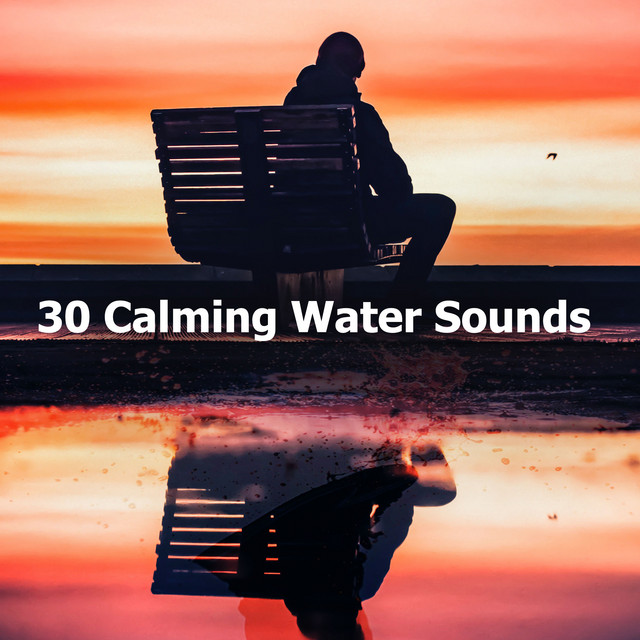 A Calming Scene - song and lyrics by Water Sounds for Sleep | Spotify