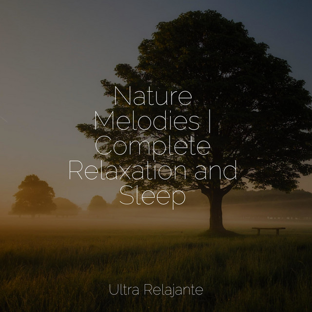 Nature Melodies | Complete Relaxation and Sleep - Album by Native ...