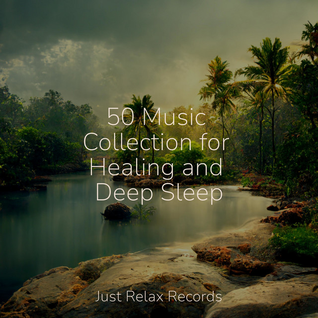 50 Music Collection for Healing and Deep Sleep - Album by Lounge relax ...