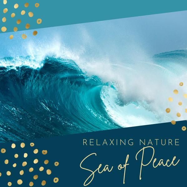 1 Sea of Peace - Album by Ocean Sounds FX | Spotify