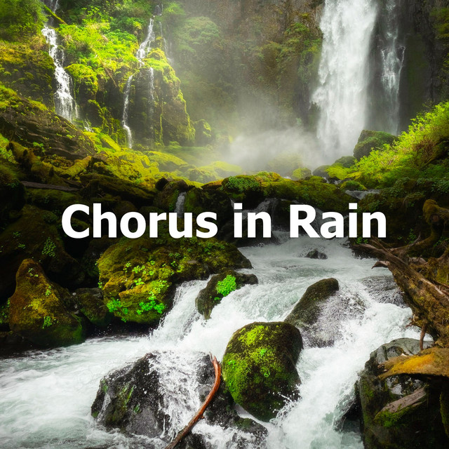 Chorus in Rain - Album by Naturaleza | Spotify