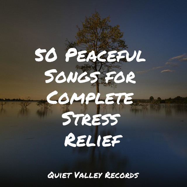 50 Peaceful Songs for Complete Stress Relief - Album by Ambient Nature ...