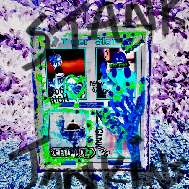 Tiger Slam - Single by Stank Jankins | Spotify