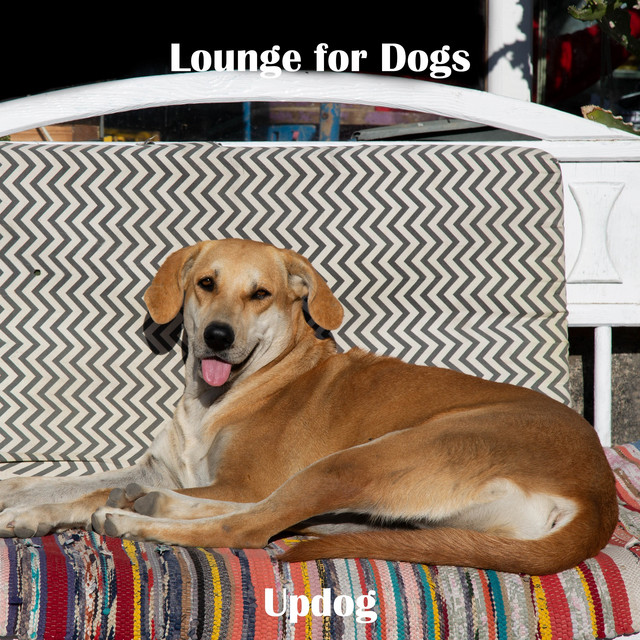 Updog - Single by Lounge for Dogs | Spotify