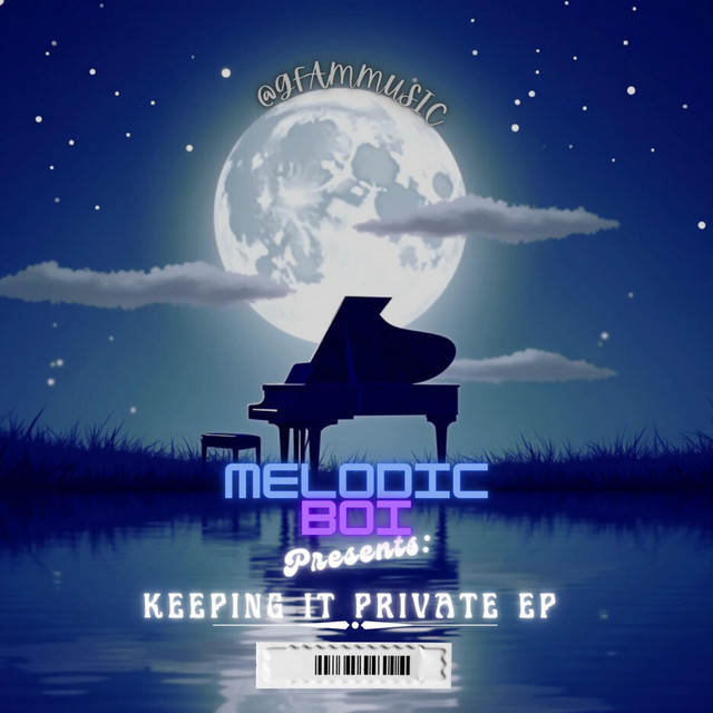 Keeping It Private EP - EP by Melodic Boi | Spotify
