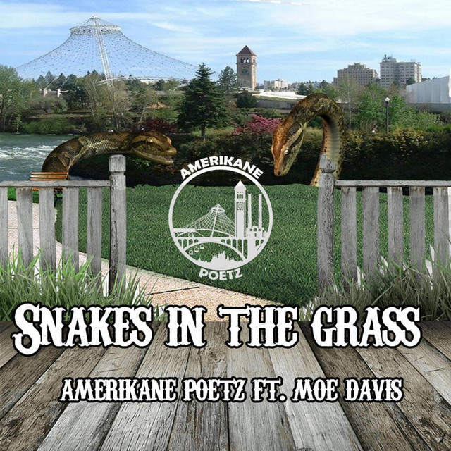 Snakes in the grass - Single by Amerikane Poetz | Spotify