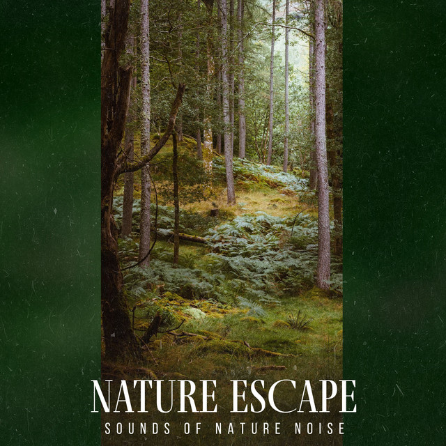 Nature Escape - Album by Sounds of Nature Noise | Spotify