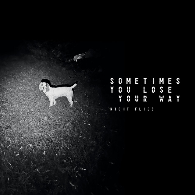 Sometimes You Lose Your Way - song and lyrics by Night Flies | Spotify