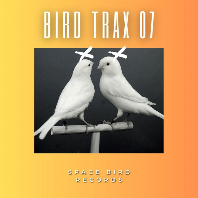 Bird Trax 07 - Compilation by Various Artists | Spotify