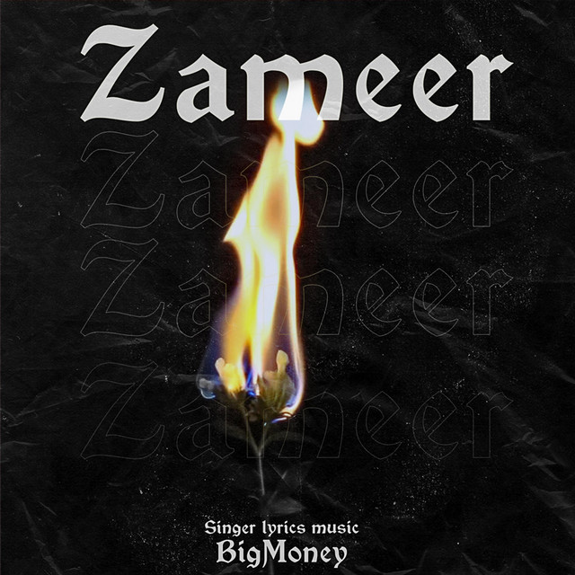 Zameer - Single by BigMoney | Spotify