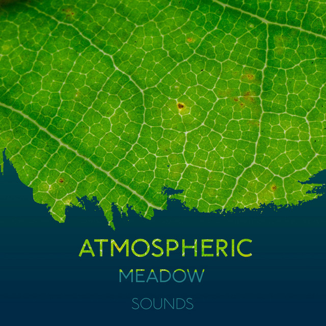 zZz Atmospheric Meadow Sounds zZz - Album by White Noise Nature Sounds ...