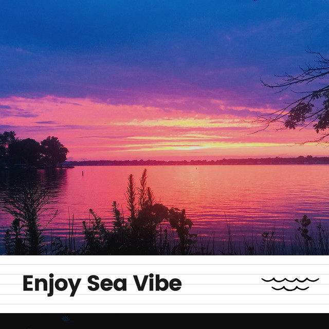 Enjoy Sea Vibe - Album by Water Science | Spotify
