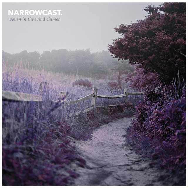 handful of teeth - song by narrowcast. | Spotify