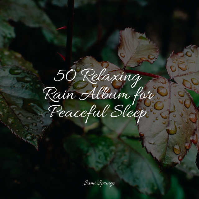 50 Relaxing Rain Album for Peaceful Sleep - Album by Meditation Music ...
