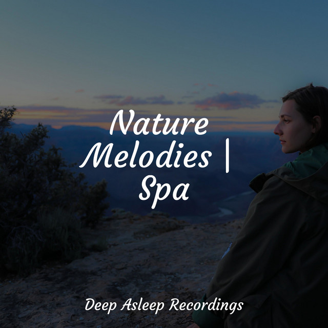 Nature Melodies | Spa - Album by Calming Sounds | Spotify