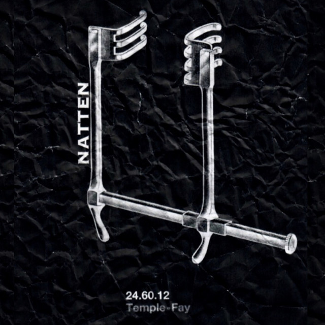 Temple-Fay - Single by NATTEN | Spotify