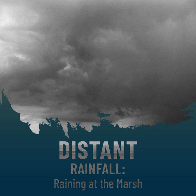 Distant Rainfall: Raining at the Marsh - Album by Lightning, Thunder ...