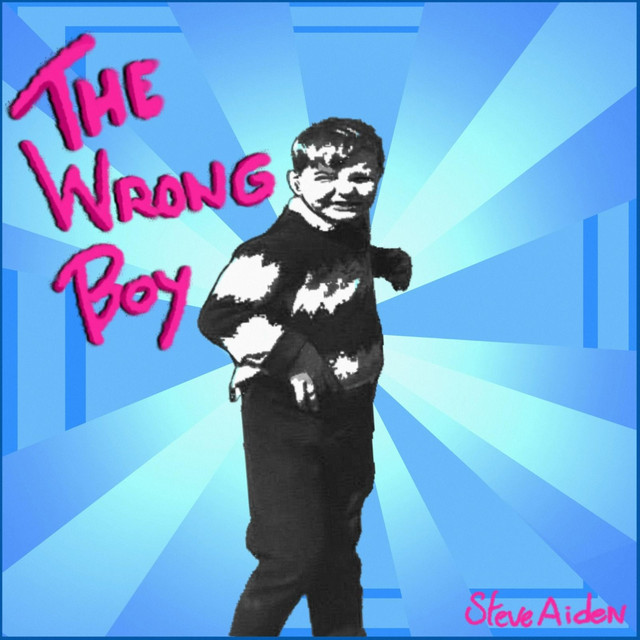 The Wrong Boy - Single by Steve Aiden | Spotify