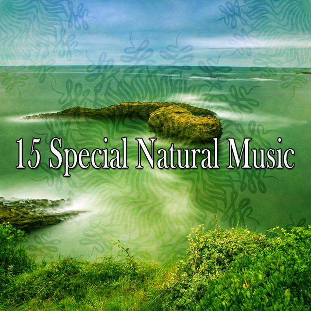 15 Special Natural Music - Album by Sounds of Nature Noise | Spotify