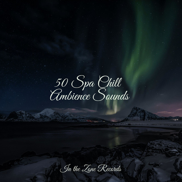 50 Spa Chill Ambience Sounds - Album by Meditación | Spotify