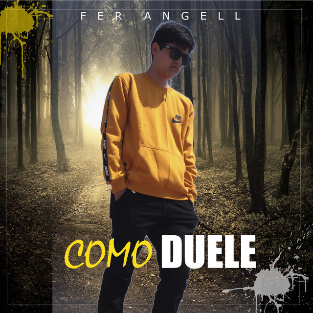 Como Pude Enamorarme de Ti - song and lyrics by Fer Angell | Spotify