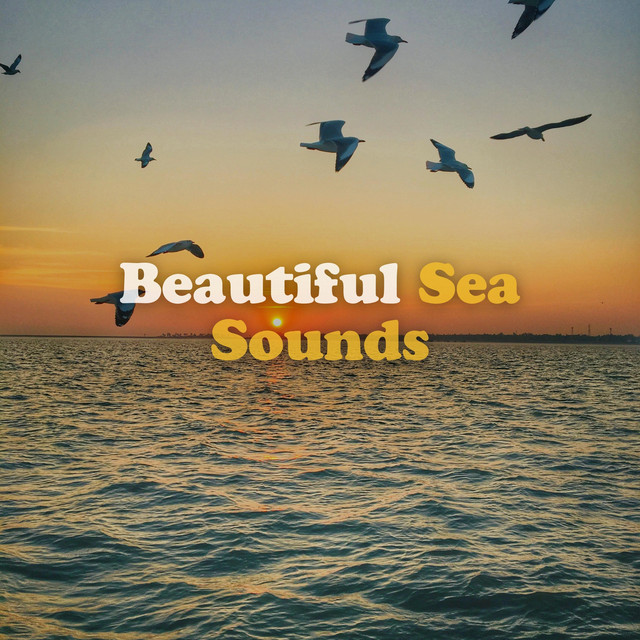 Beautiful Sea Sounds - Album by Water Soundscapes | Spotify