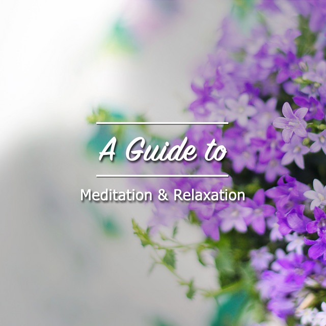 2018 A Guide to Meditation and Relaxation – 专辑 de Guided Meditation ...