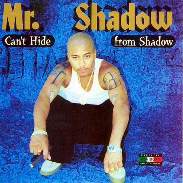 can-t-hide-from-shadow-album-by-mr-shadow-spotify